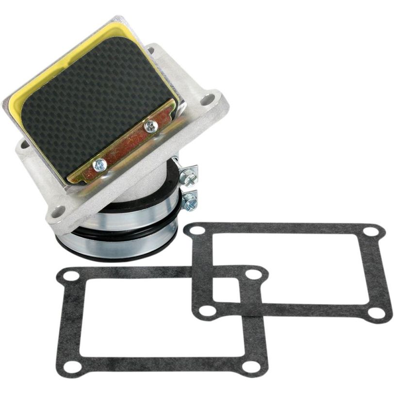 Intake Reed Valves | Athena