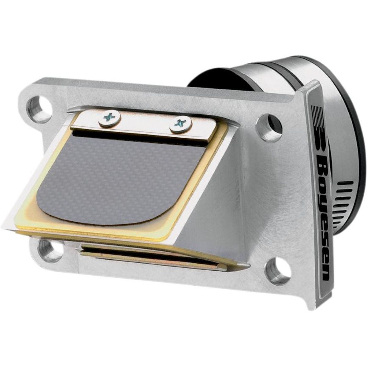 Intake Reed Valves | Athena