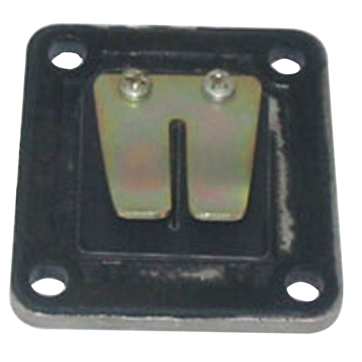 Intake Reed Valves | Athena