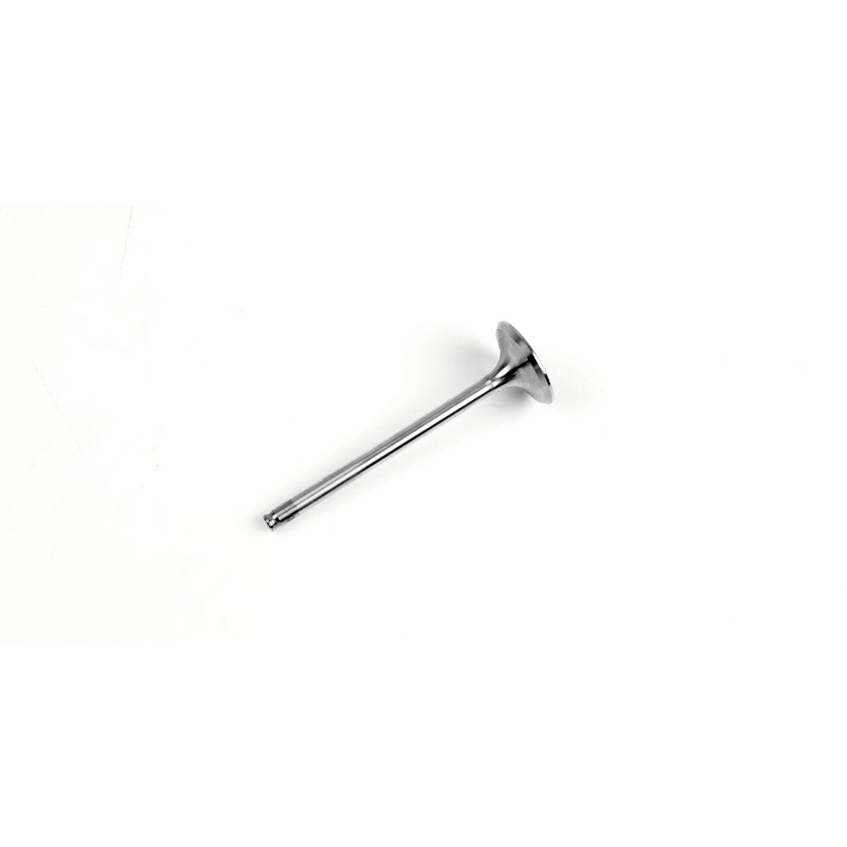 Steel Exhaust Valve | Athena
